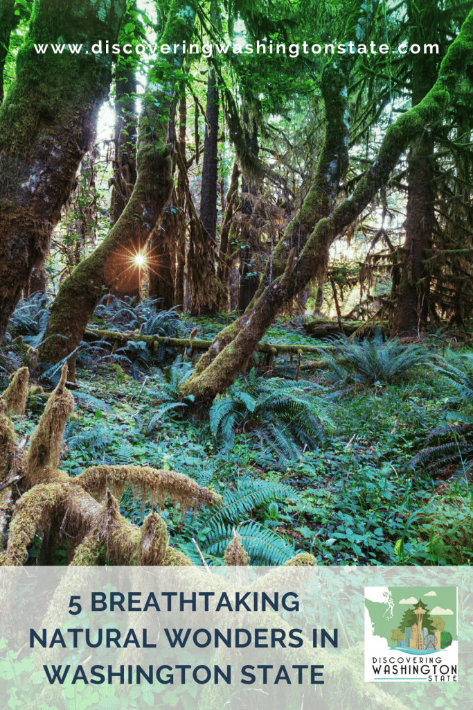 5 Breathtaking Natural Wonders in Washington State - Discovering ...